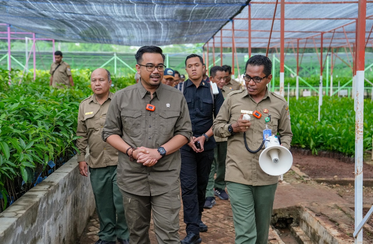 Dukung Rehabilitasi Lahan, Bisa Peroleh Bibit Pohon Gratis di ...